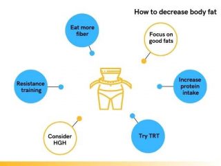 How to Decrease Body Fat & Increase Muscle Mass