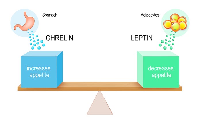 Does HGH Make You Hungry? A Comprehensive Analysis